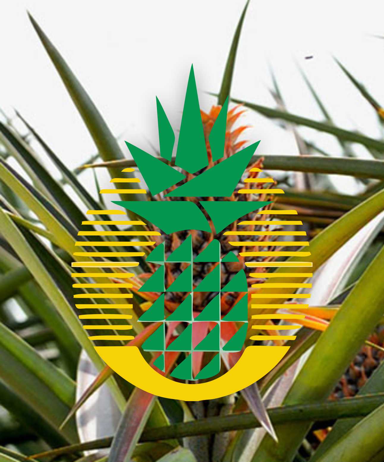 Agriprovit - Great Giant Pineapple