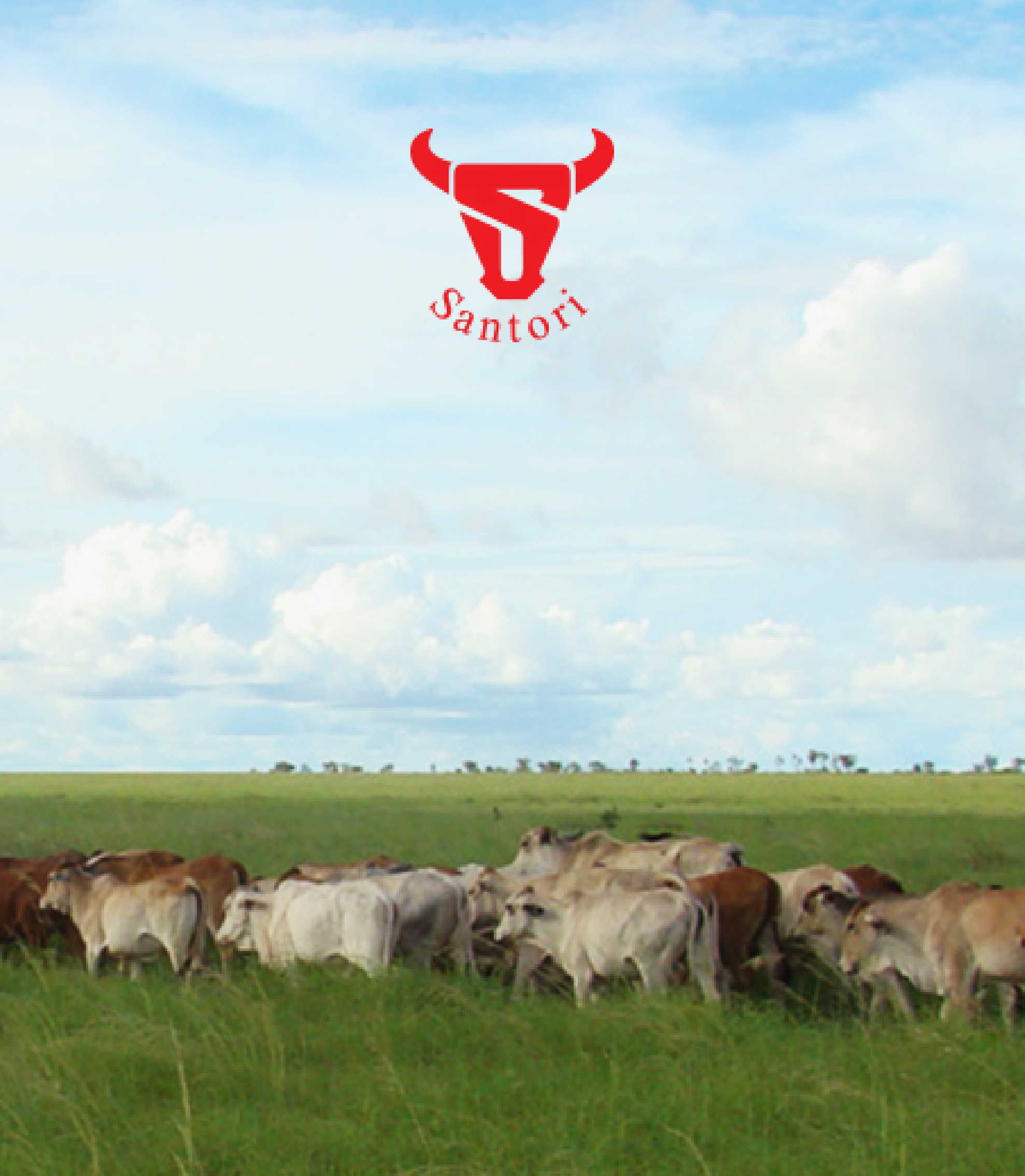 Agriprovit - Santori | PT Santosa Agrindo JAPFA